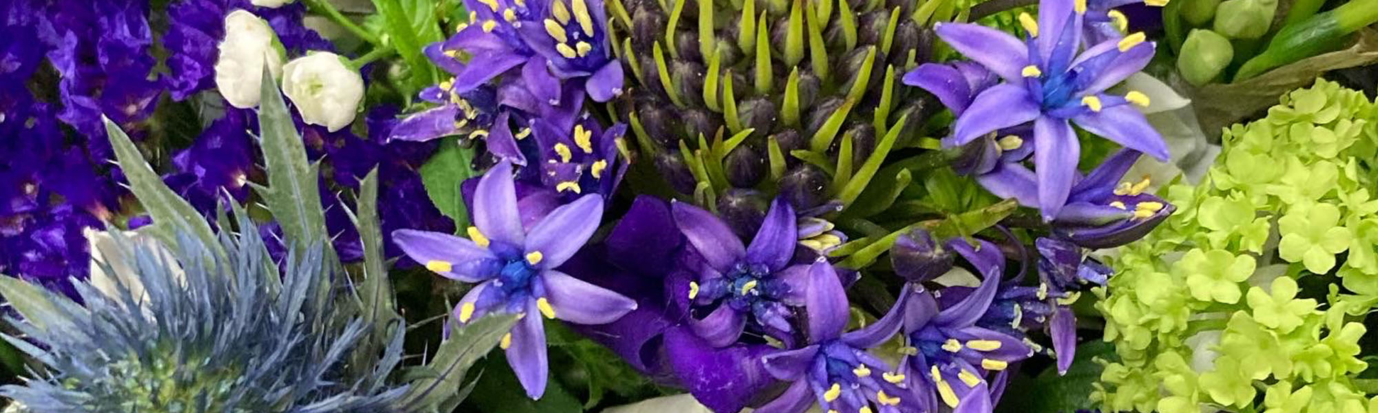 Cornwall Florists Flowertime Hayle Order 24h Online or 01736 757006 ...