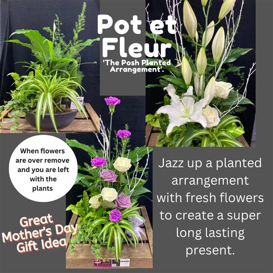 Pot et Fleur 'The Posh Planted Arrangement'